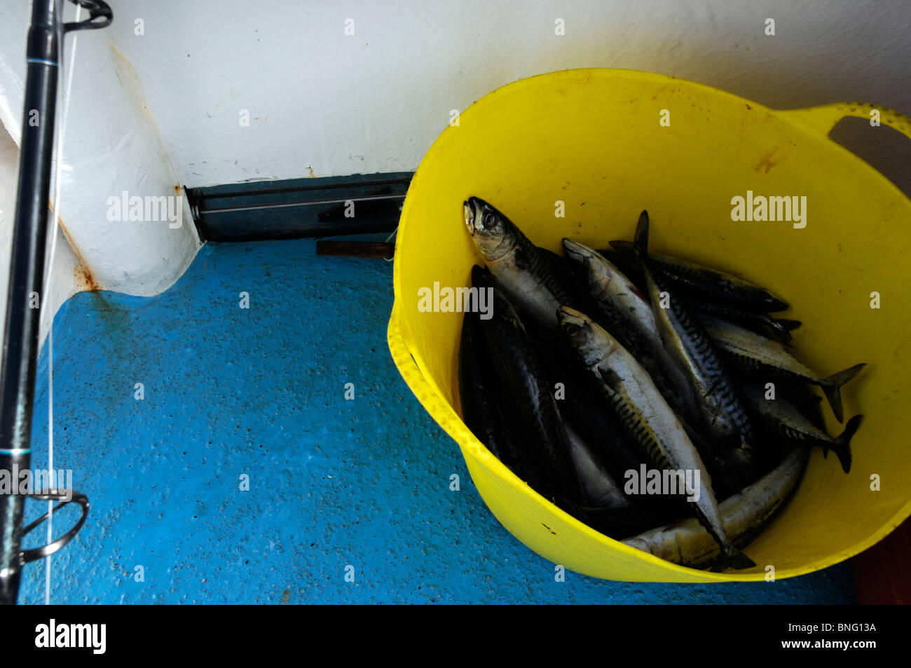 Bottom line fishing hi-res stock photography and images - Alamy