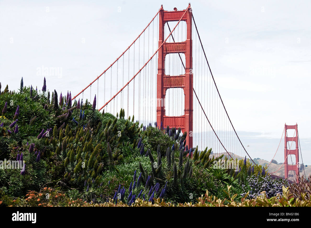 Low angle view of a suspension bridge, Golden Gate Bridge, San ...