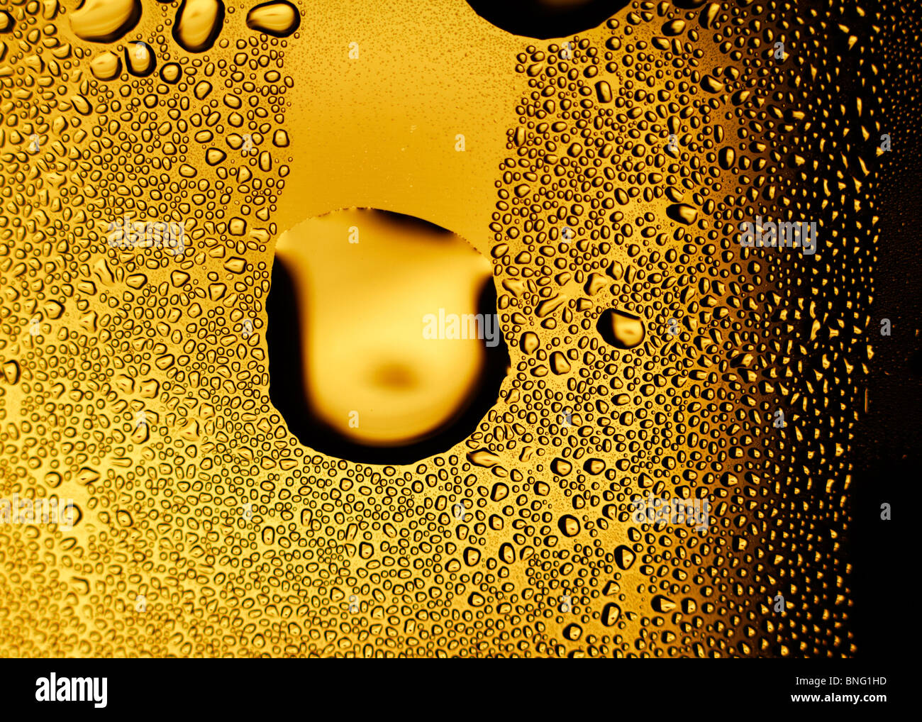 Beer Bubbles Backgrounds