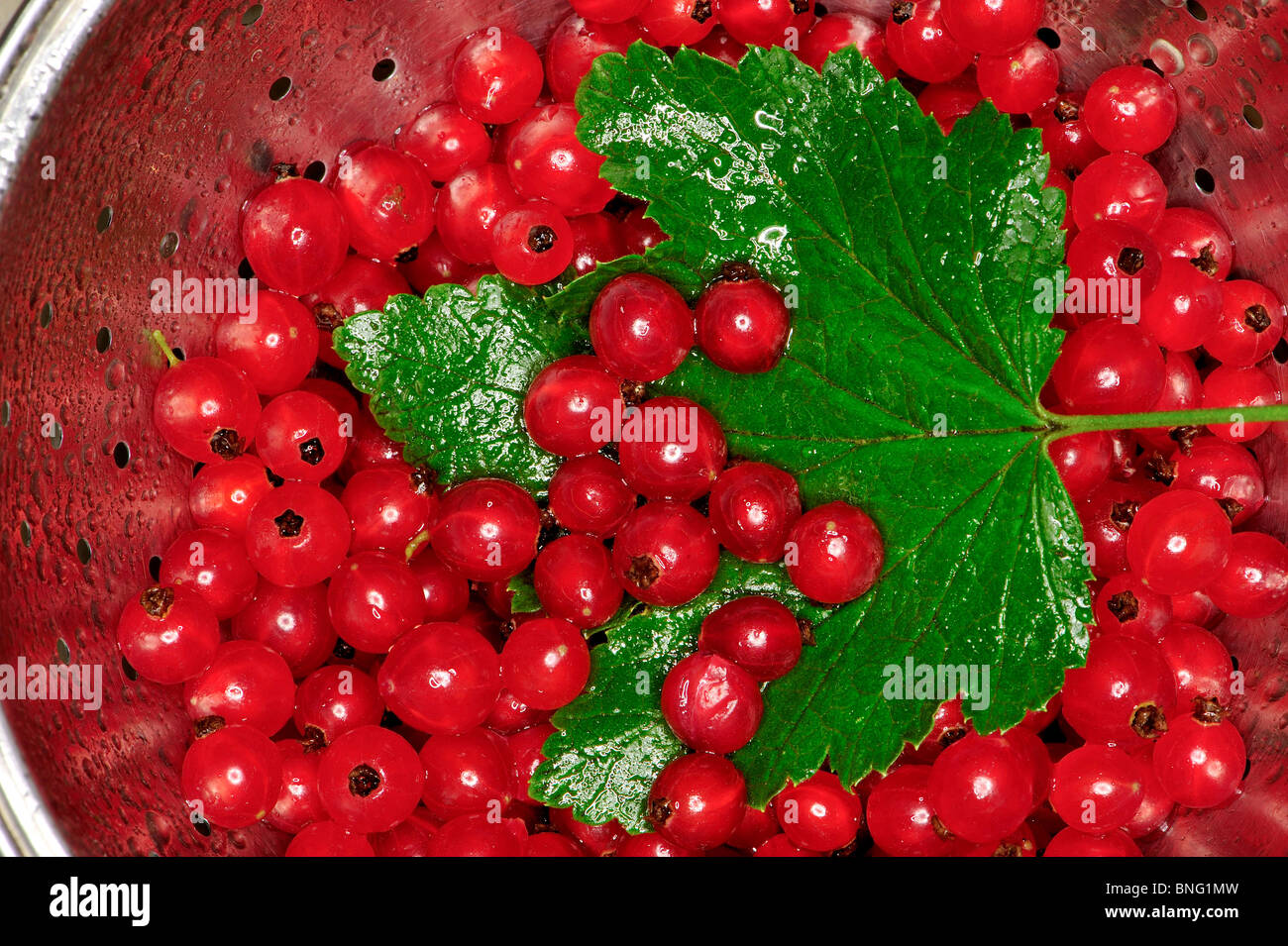 Red currants, food, natural, no chemical additives, no gmo, vegetable ...