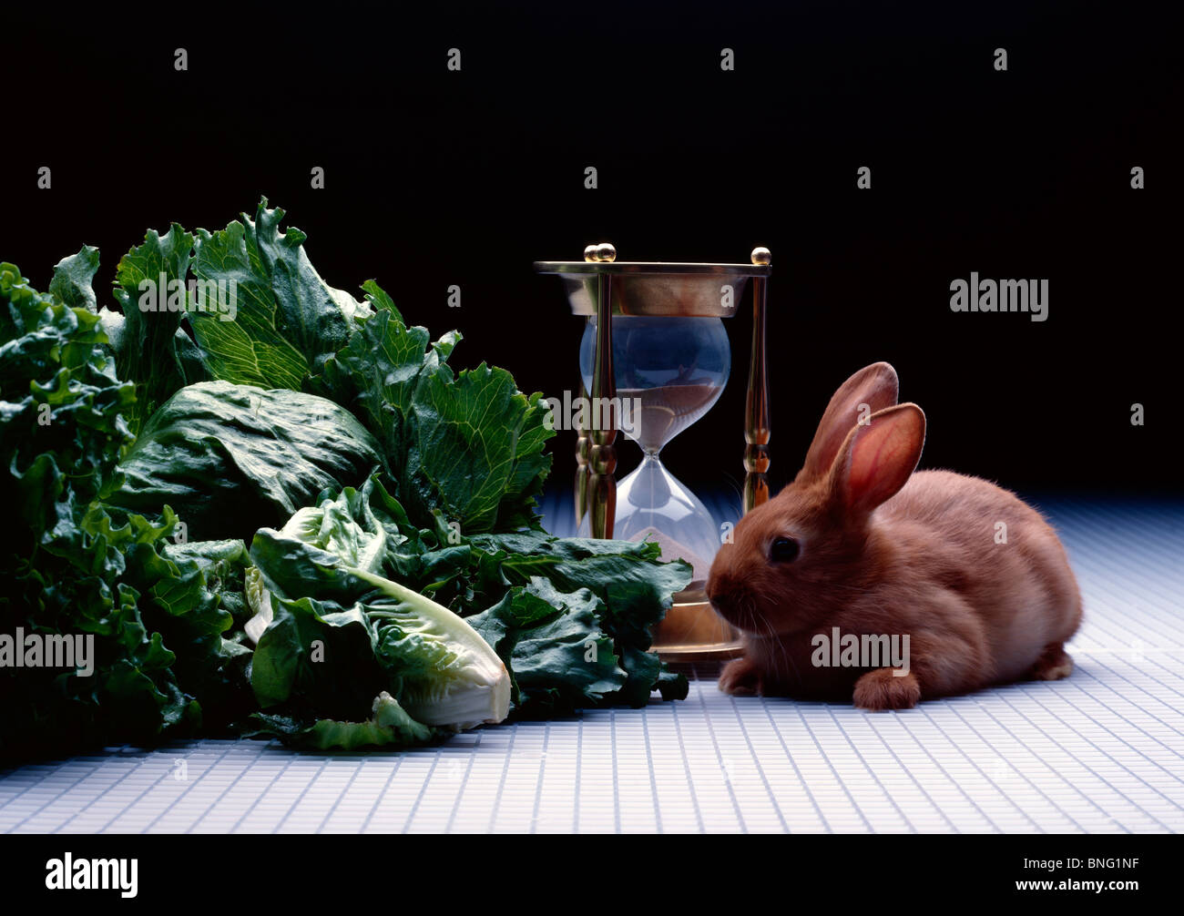 Right time hi-res stock photography and images - Alamy