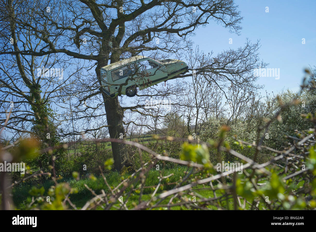 car tree house Stock Photo - Alamy