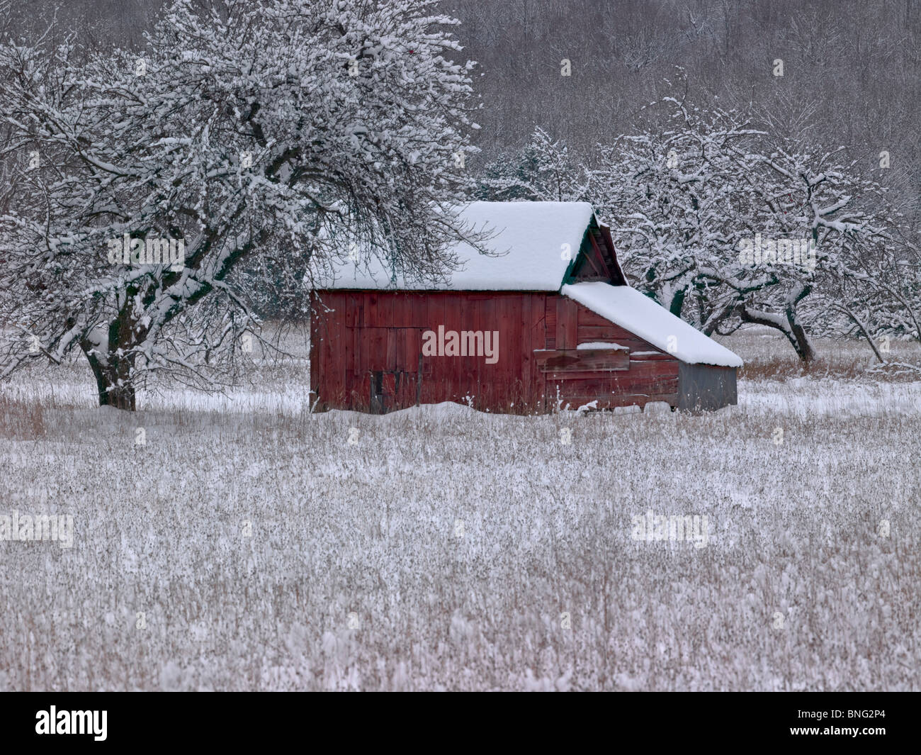 Barn in a snow covered field Stock Photo - Alamy