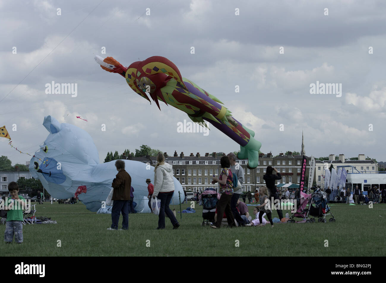 Display kite hi-res stock photography and images - Alamy