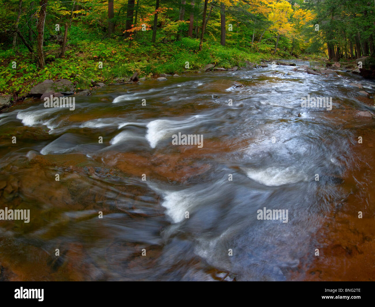 River flowing through a forest, Big Carp River, Porcupine Mountains ...