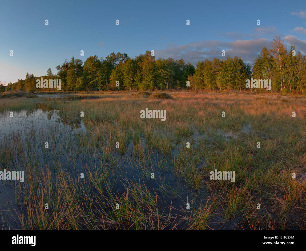 Kelderhouse hi-res stock photography and images - Alamy
