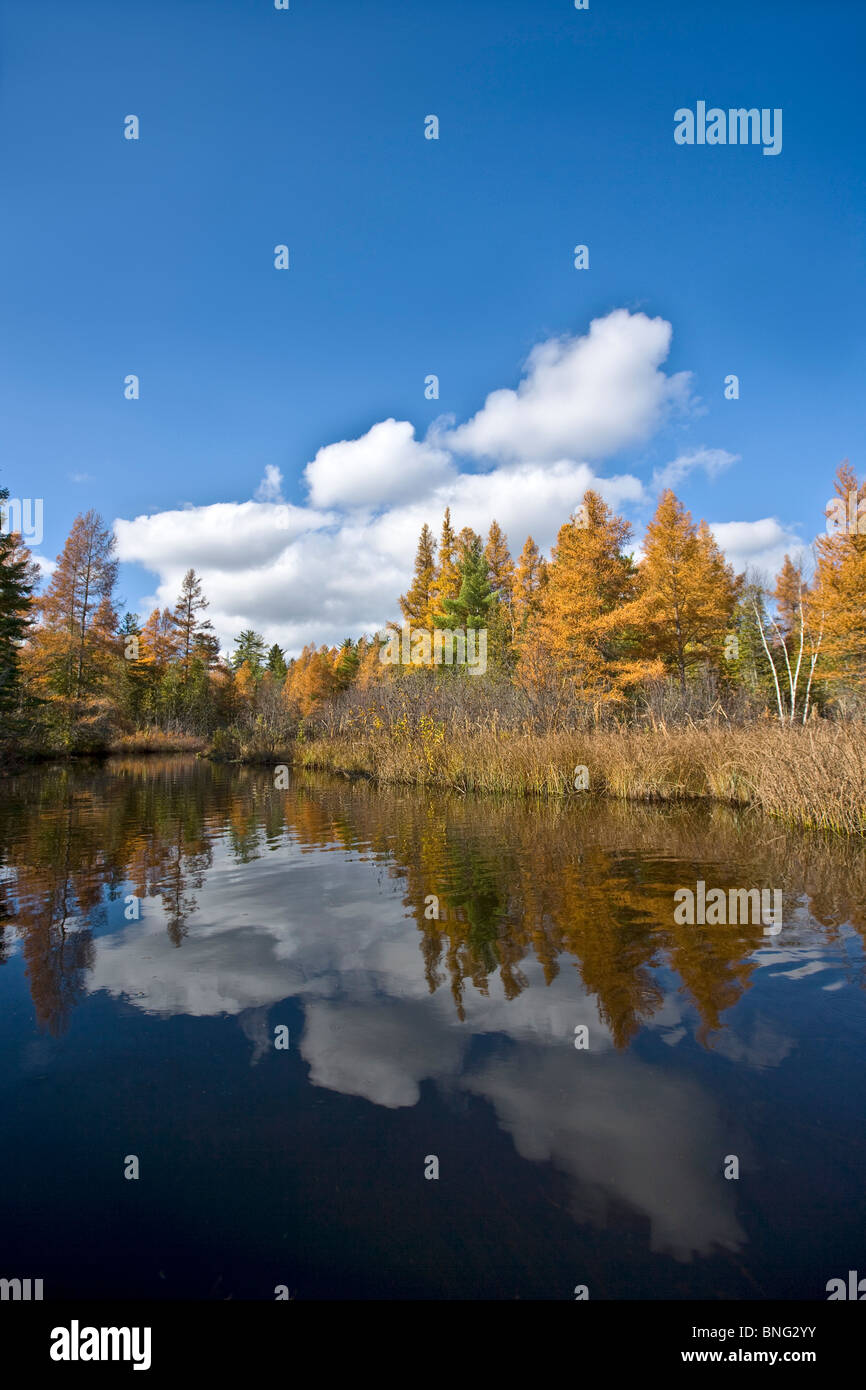 Reflection of trees in a creek, Cedar Creek, Cedar, Michigan, USA Stock ...