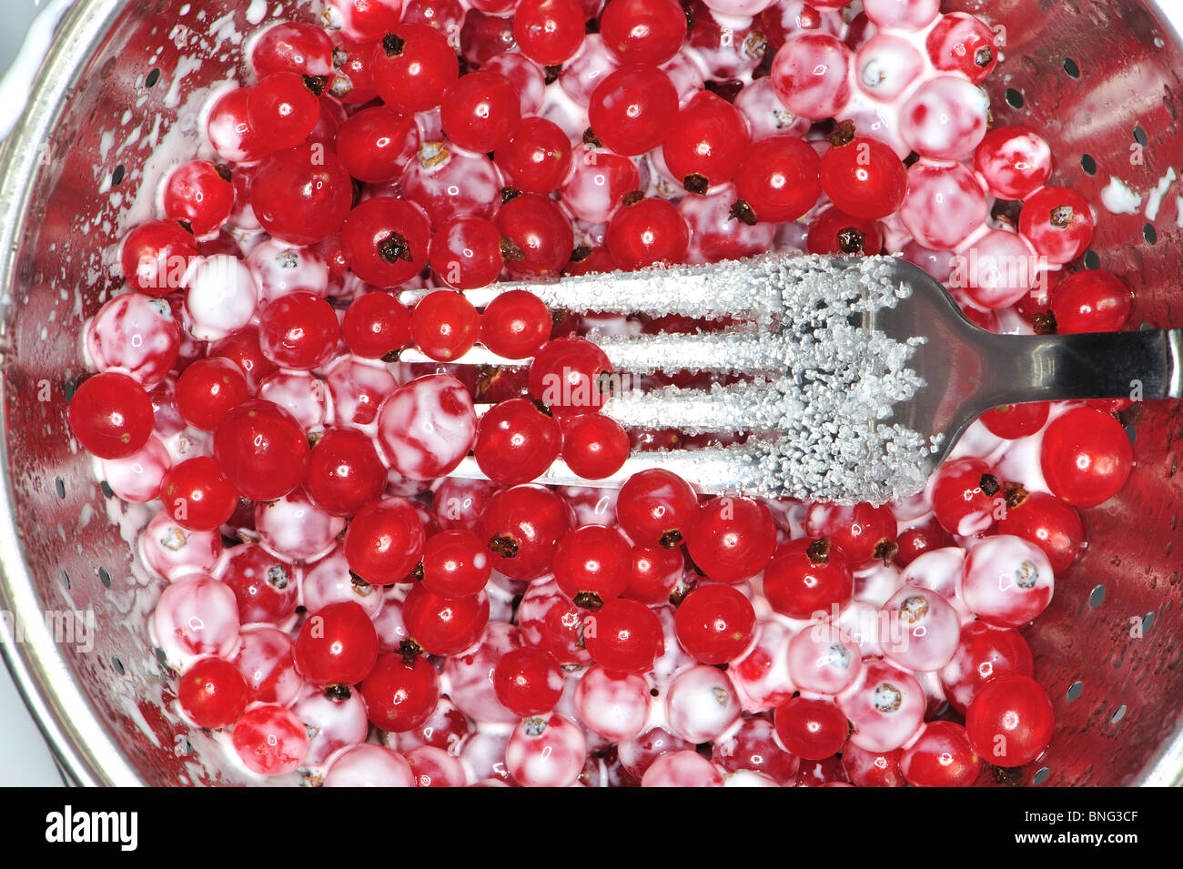 Red currants, food, natural, no chemical additives, no gmo,gastronomy ...