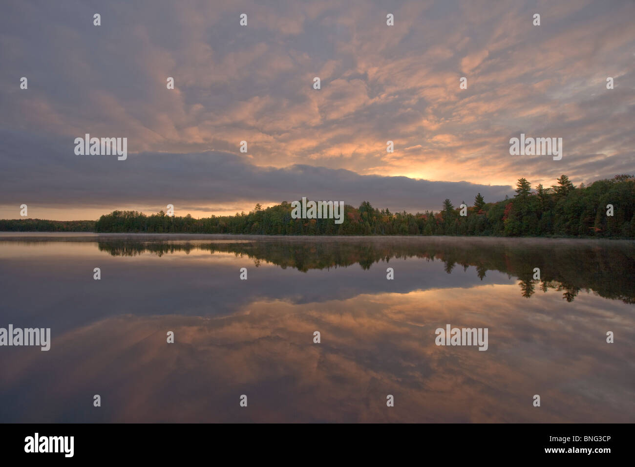 Lake in a forest, Craig Lake, Craig Lake State Park, Baraga County ...
