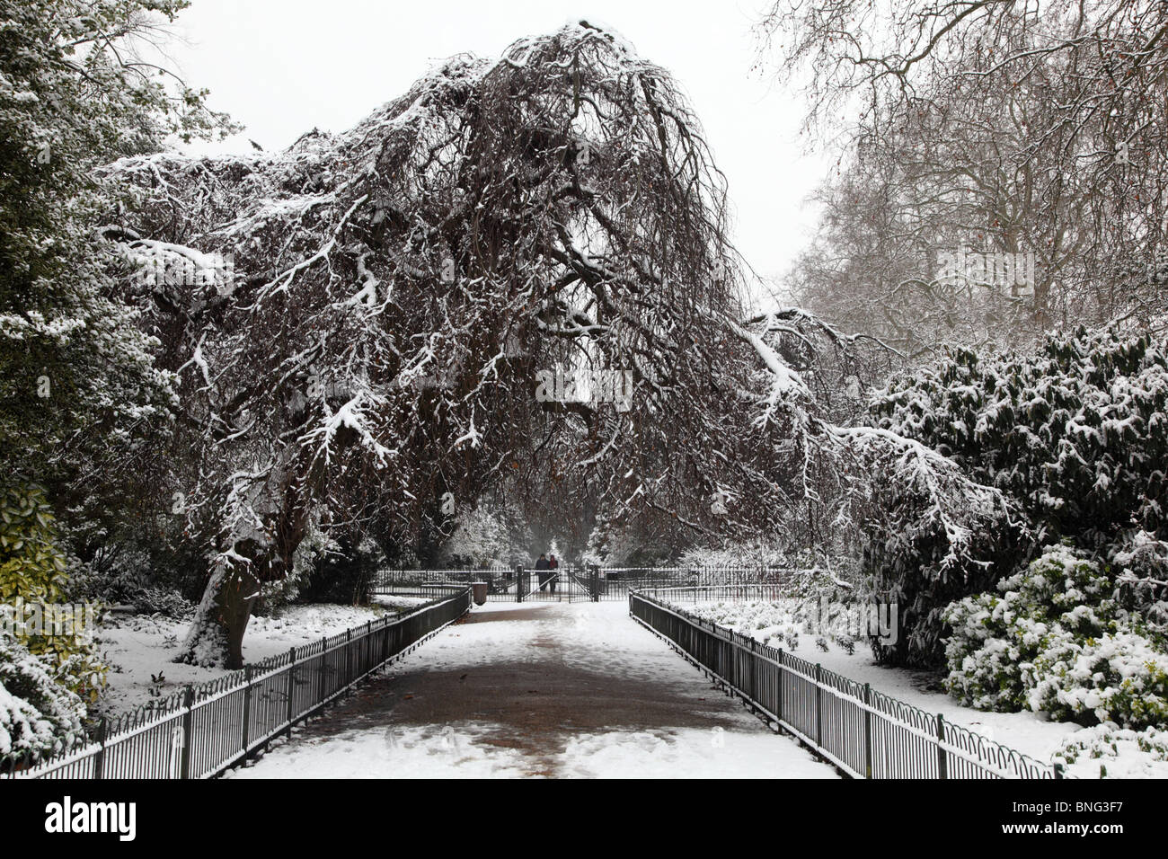 Snow covered hyde park hi-res stock photography and images - Alamy