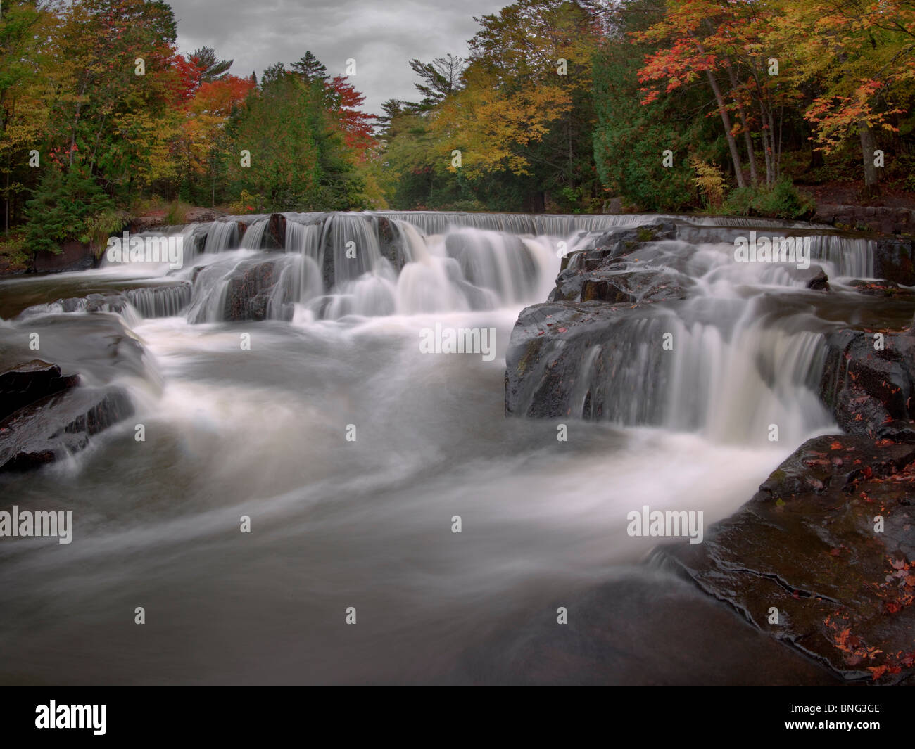 Waterfall in a forest, Bond Falls, Watersmeet, Gogebic County, Michigan ...