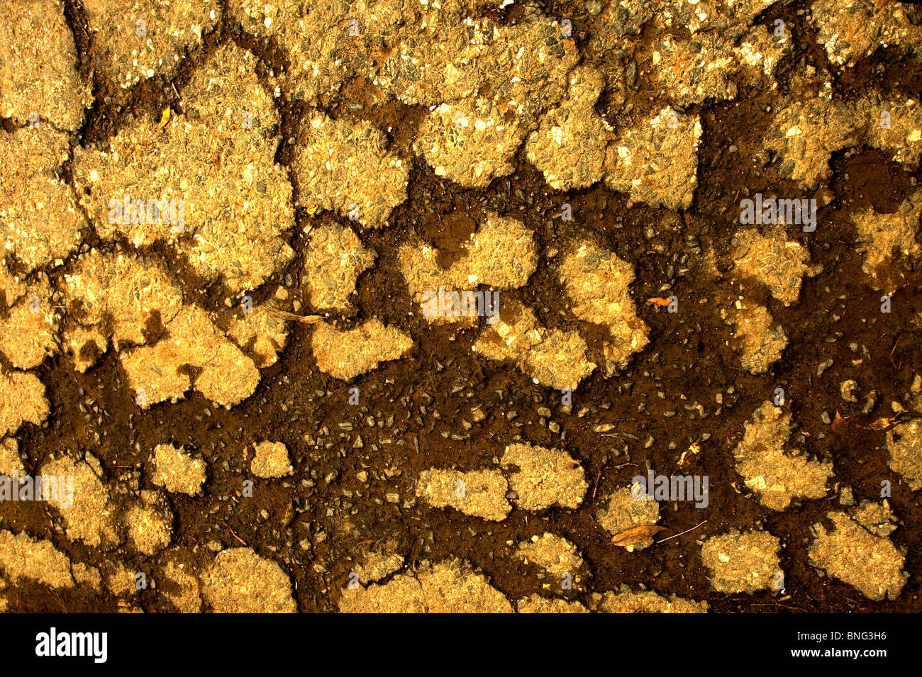 Gold mine art abstract photo background Stock Photo - Alamy