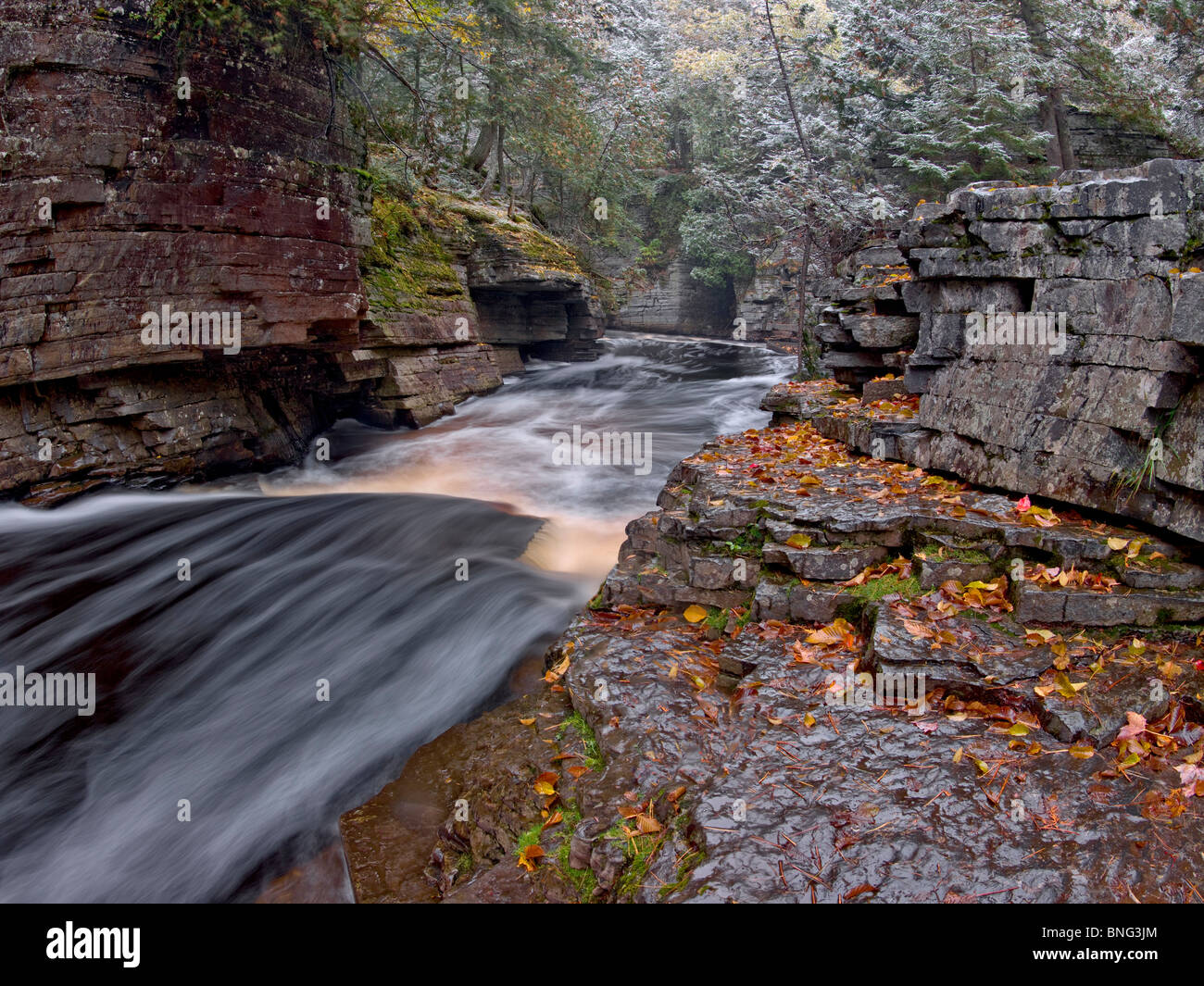 Waterfall in a forest, Canyon Falls, L'Anse, Michigan, USA Stock Photo ...