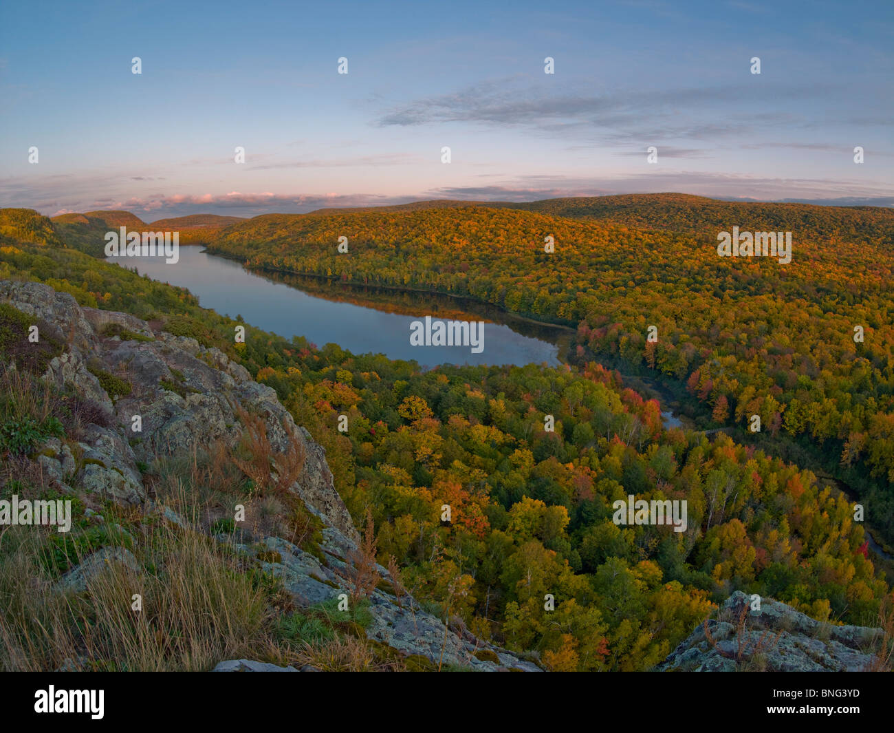 Trees in a forest, Porcupine Mountains, Ontonagon County, Michigan, USA ...