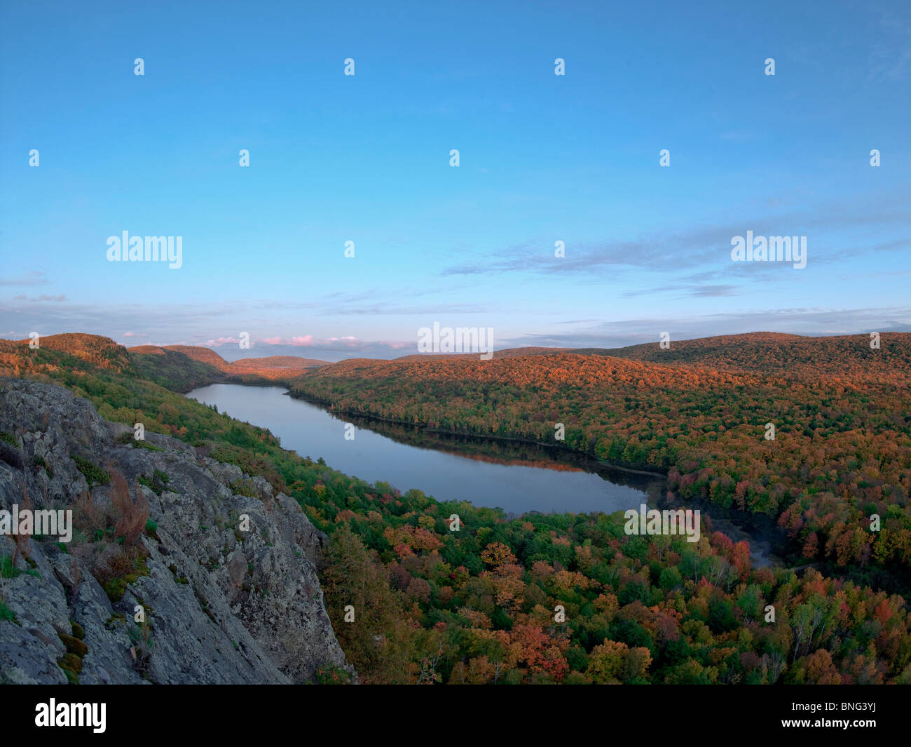 Trees in a forest, Porcupine Mountains, Ontonagon County, Michigan, USA ...