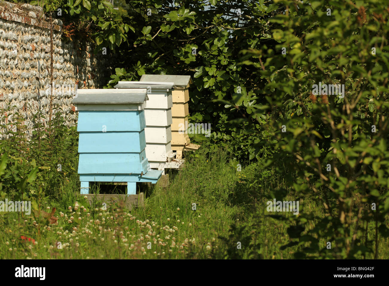 Beehives hi-res stock photography and images - Alamy