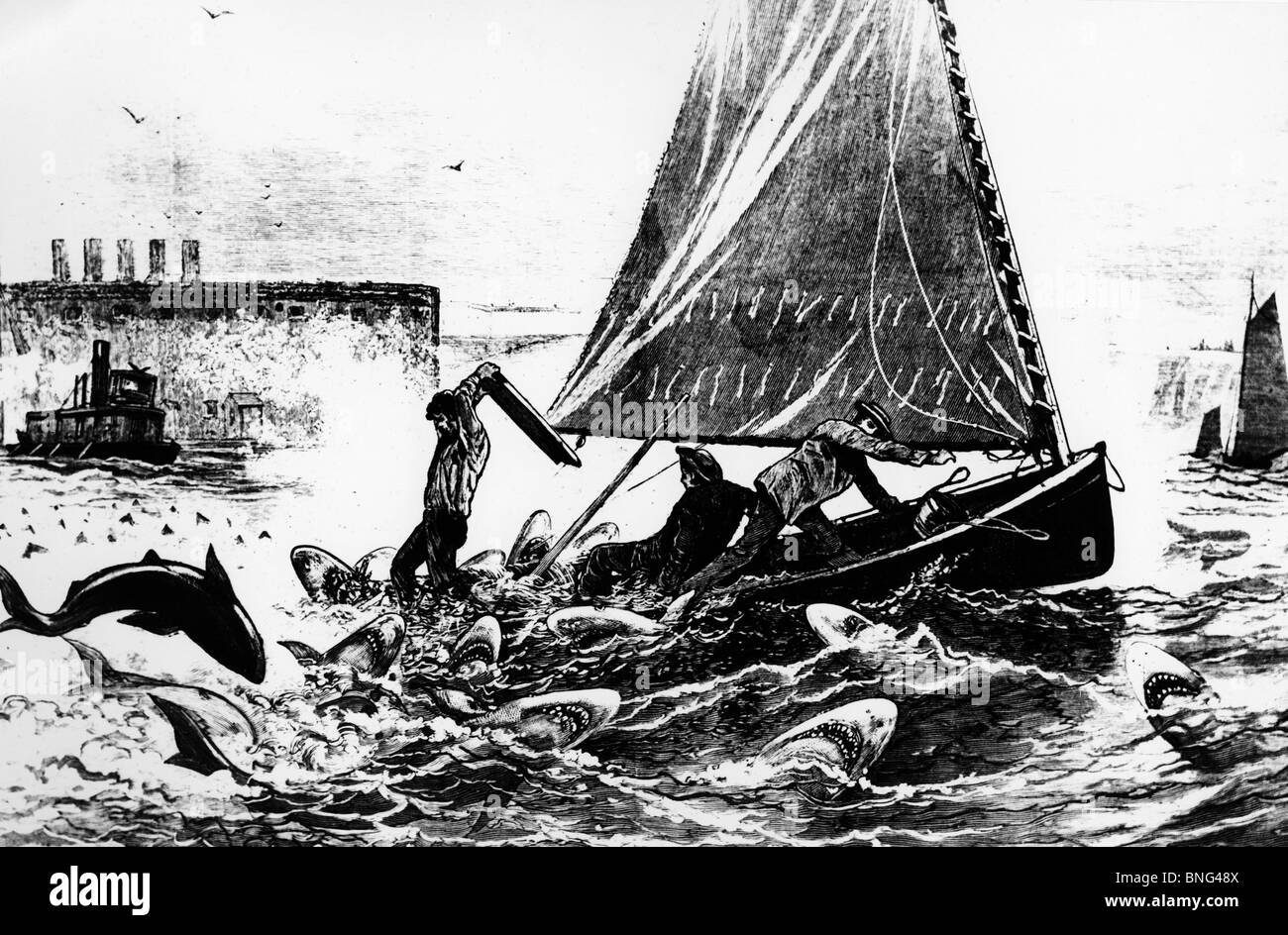 High Hooks of Yesteryear: Fighting Sharks in New York Bay by unknown ...