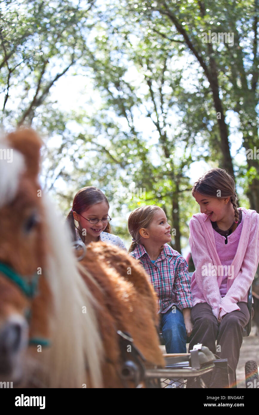 Children riding in a pony cart at a petting zoo Stock Photo - Alamy