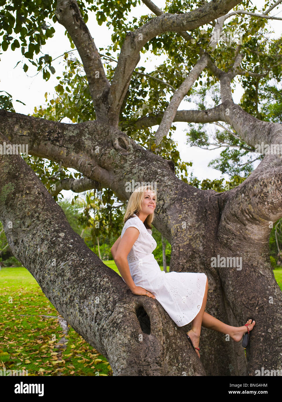 Young woman climbing a tree, Miami, Florida, USA Stock Photo - Alamy