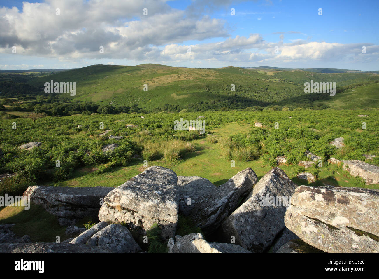 Summer view from Combestone tor over Dart gorge towards Sharp tor ...