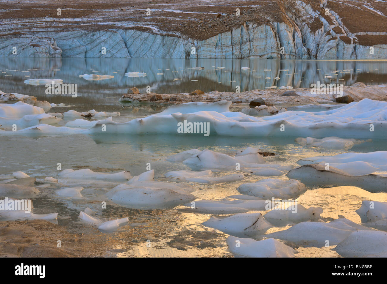 Icebergs floating on water, Angel Glacier, Jasper National Park ...