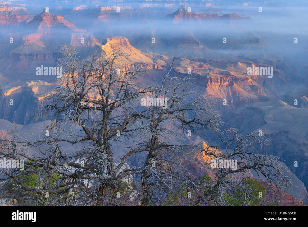 High angle view of an arid landscape, Yavapai Point, South Rim, Grand ...