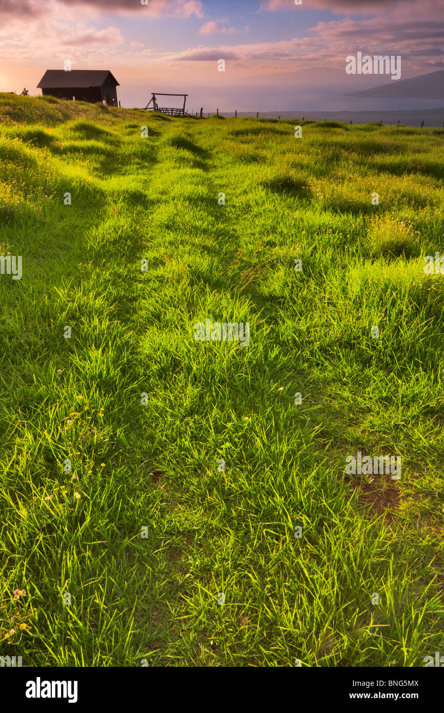Salt barn in a field, Ka'ono'ulu Ranch, Maui, Hawaii, USA Stock Photo ...