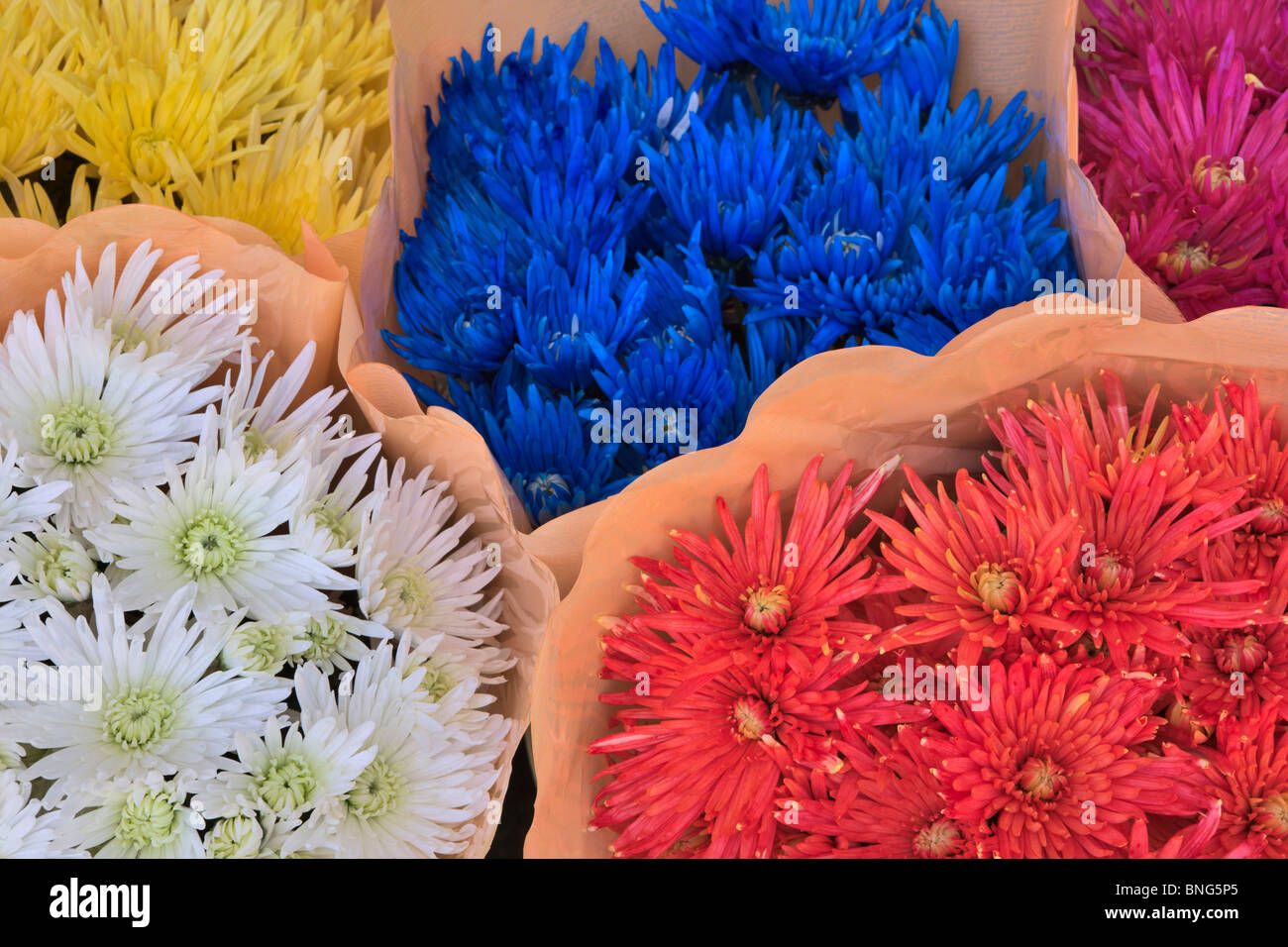 Corner flowers hi-res stock photography and images - Alamy