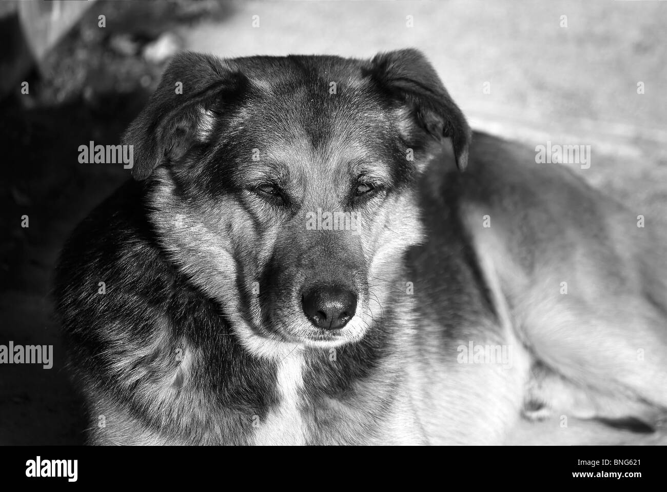 Emprisoned hi-res stock photography and images - Alamy