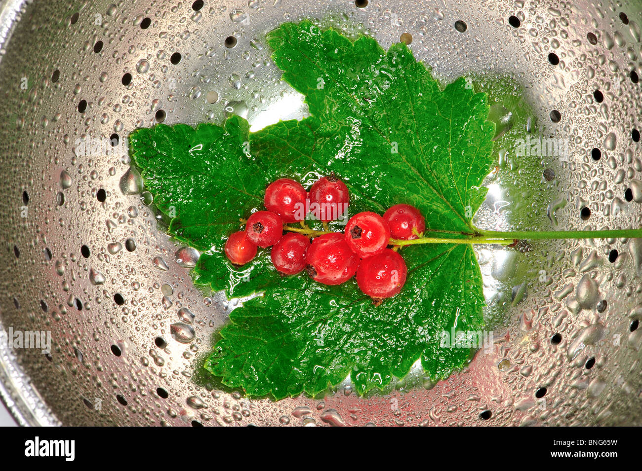 Red currants, food, natural, fresh, no chemical additives, no gmo ...