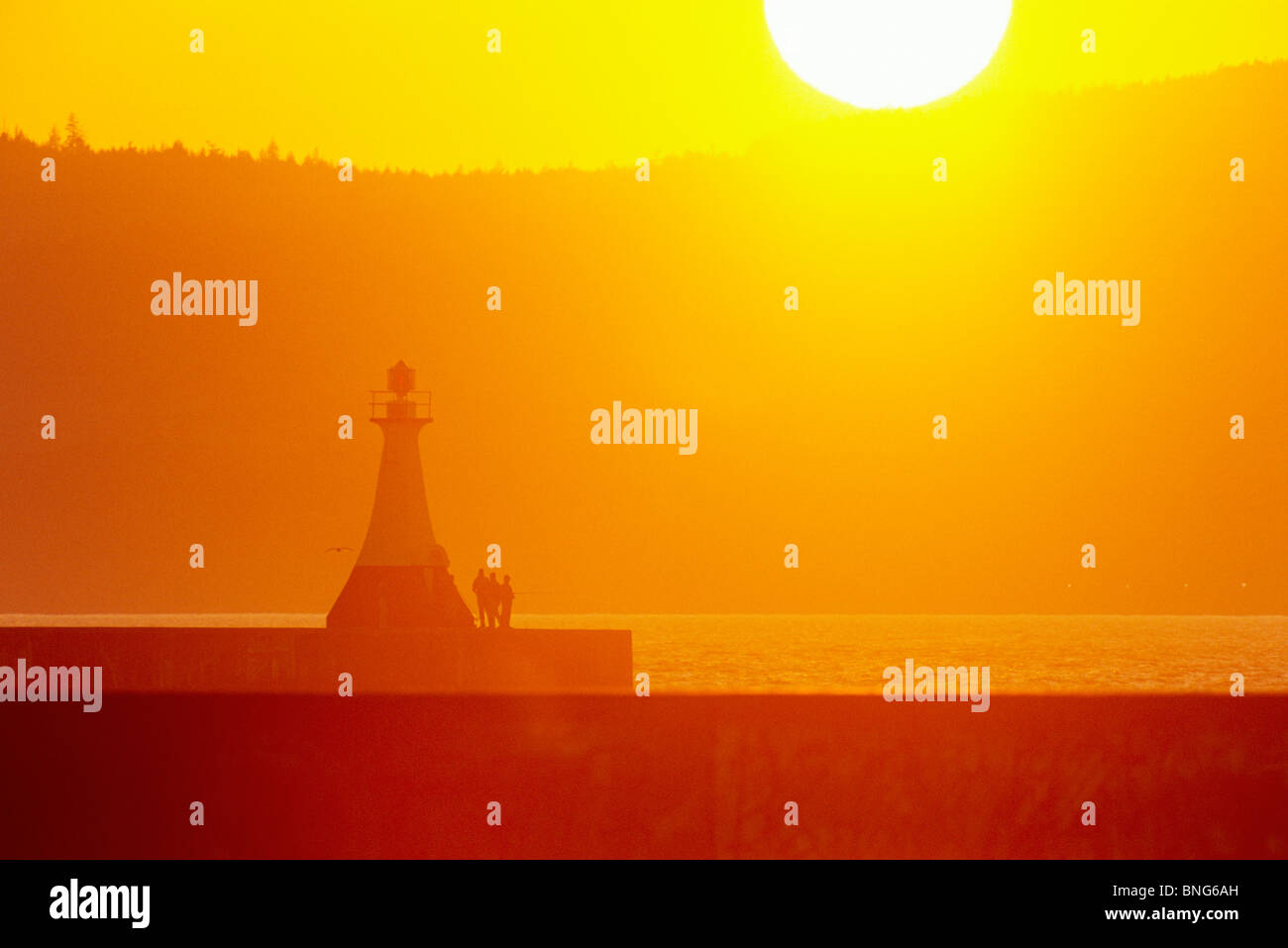 Ogden Point Breakwater Lighthouse High Resolution Stock Photography and ...