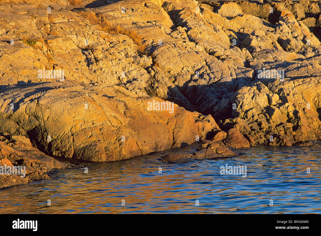 Rock formations at a coast, Victoria, Vancouver Island, British ...