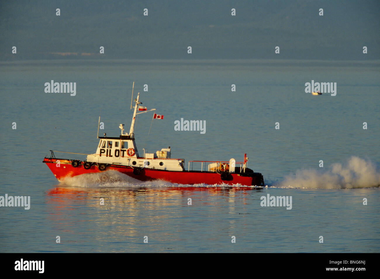 Pilot boat in the sea, Victoria, Vancouver Island, British Columbia ...