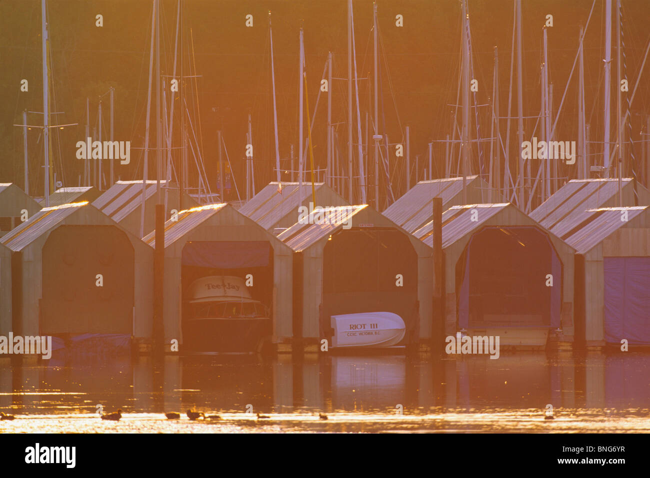 Boathouses in the sea, Sidney, Victoria, Vancouver Island, British ...