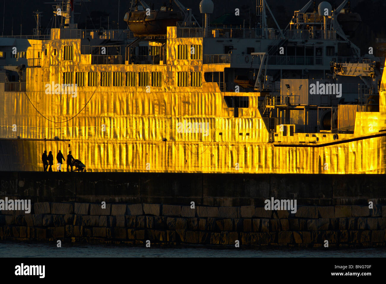 Container ship at the dockside, Ogden Point, Victoria, Vancouver Island ...