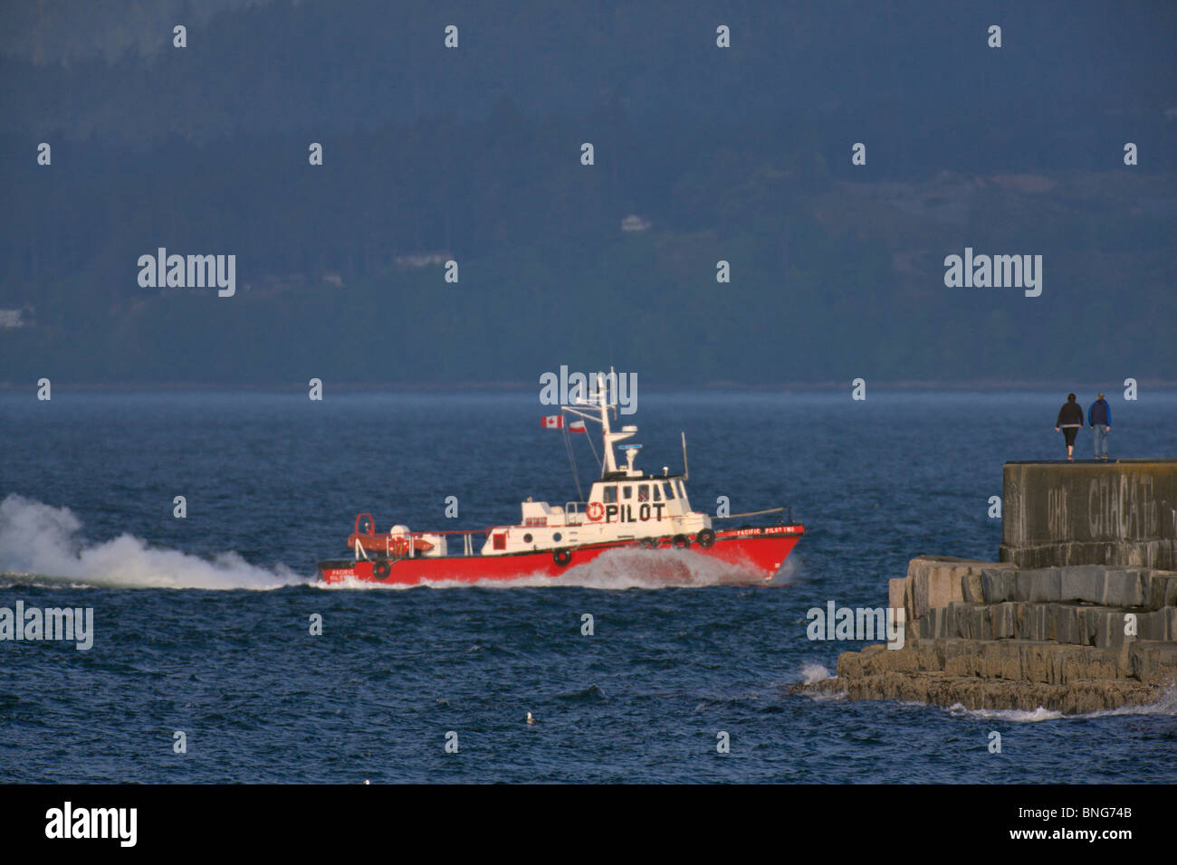 British pilot in america hi-res stock photography and images - Alamy