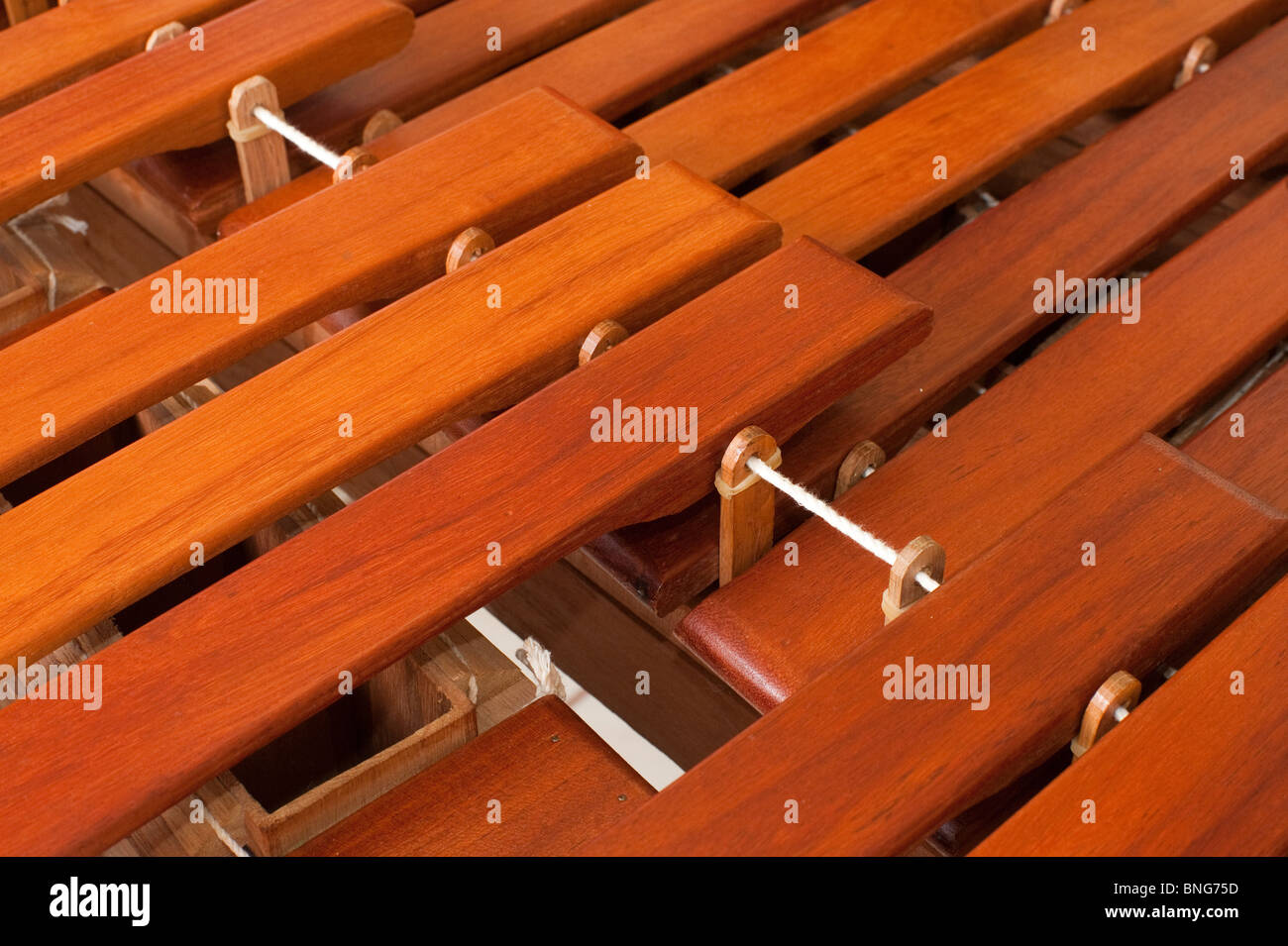 Marimba hi-res stock photography and images - Alamy