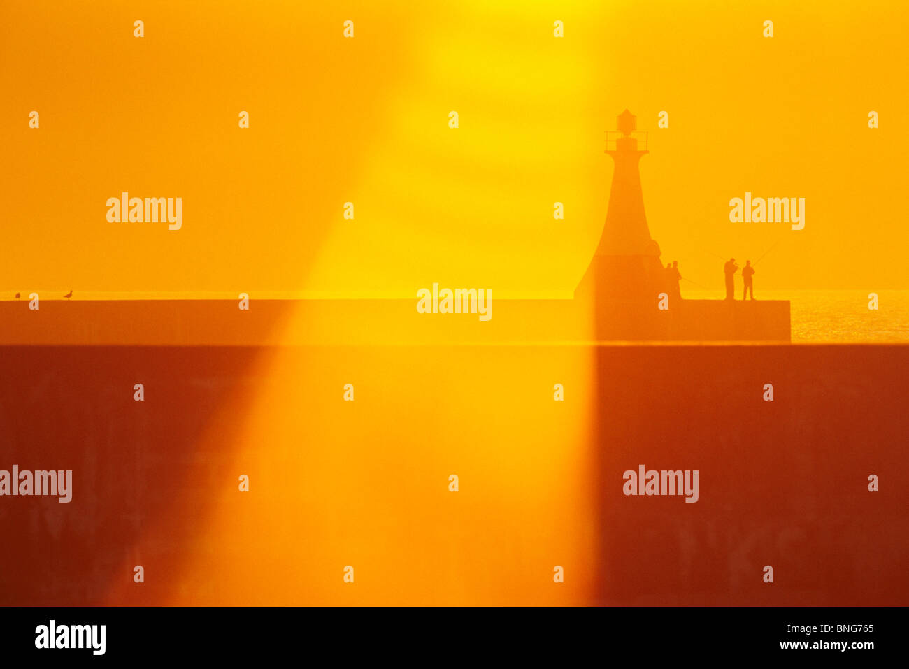 Ogden Point Breakwater Lighthouse High Resolution Stock Photography and ...