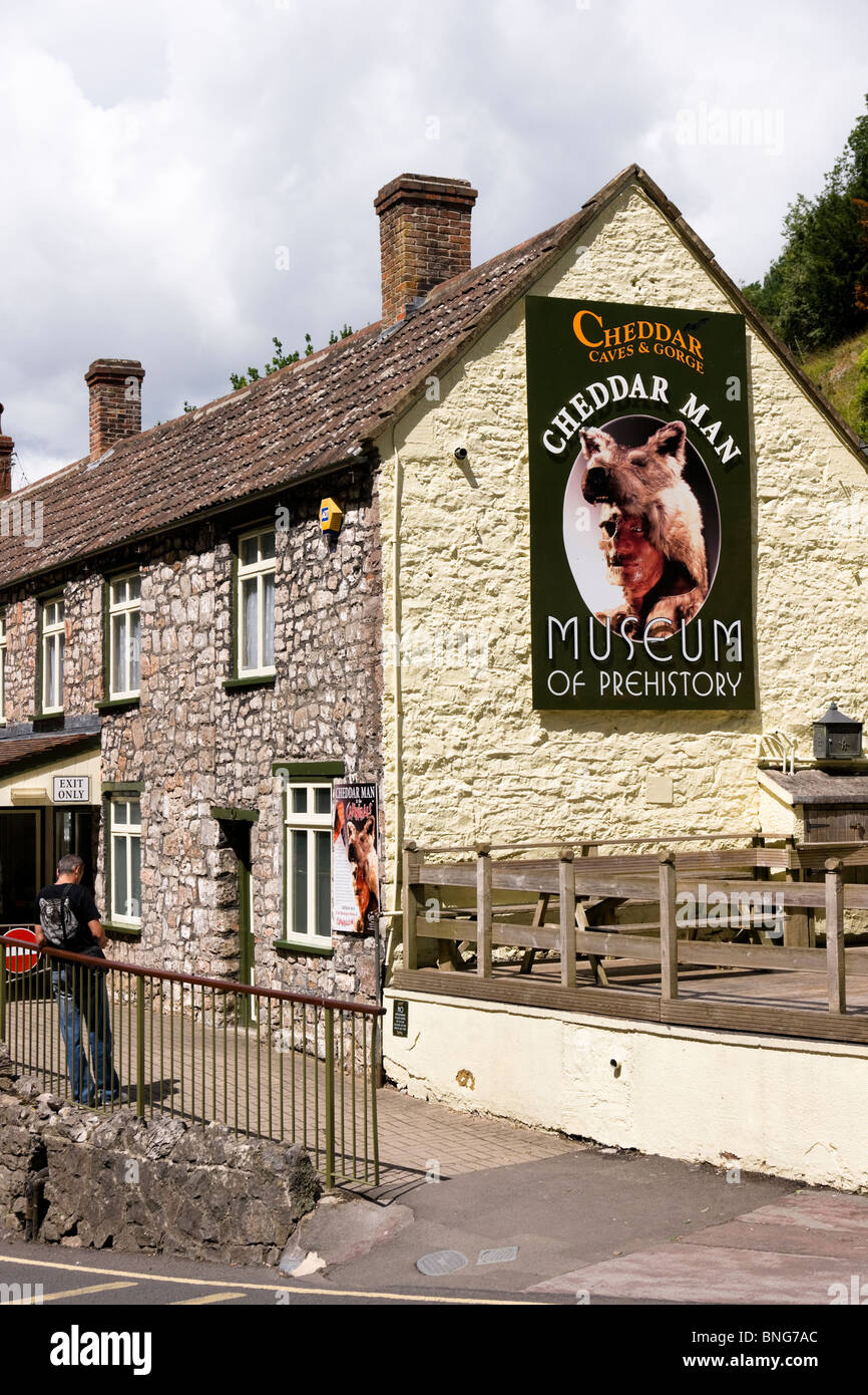 Cheddar Gorge High Resolution Stock Photography and Images - Alamy