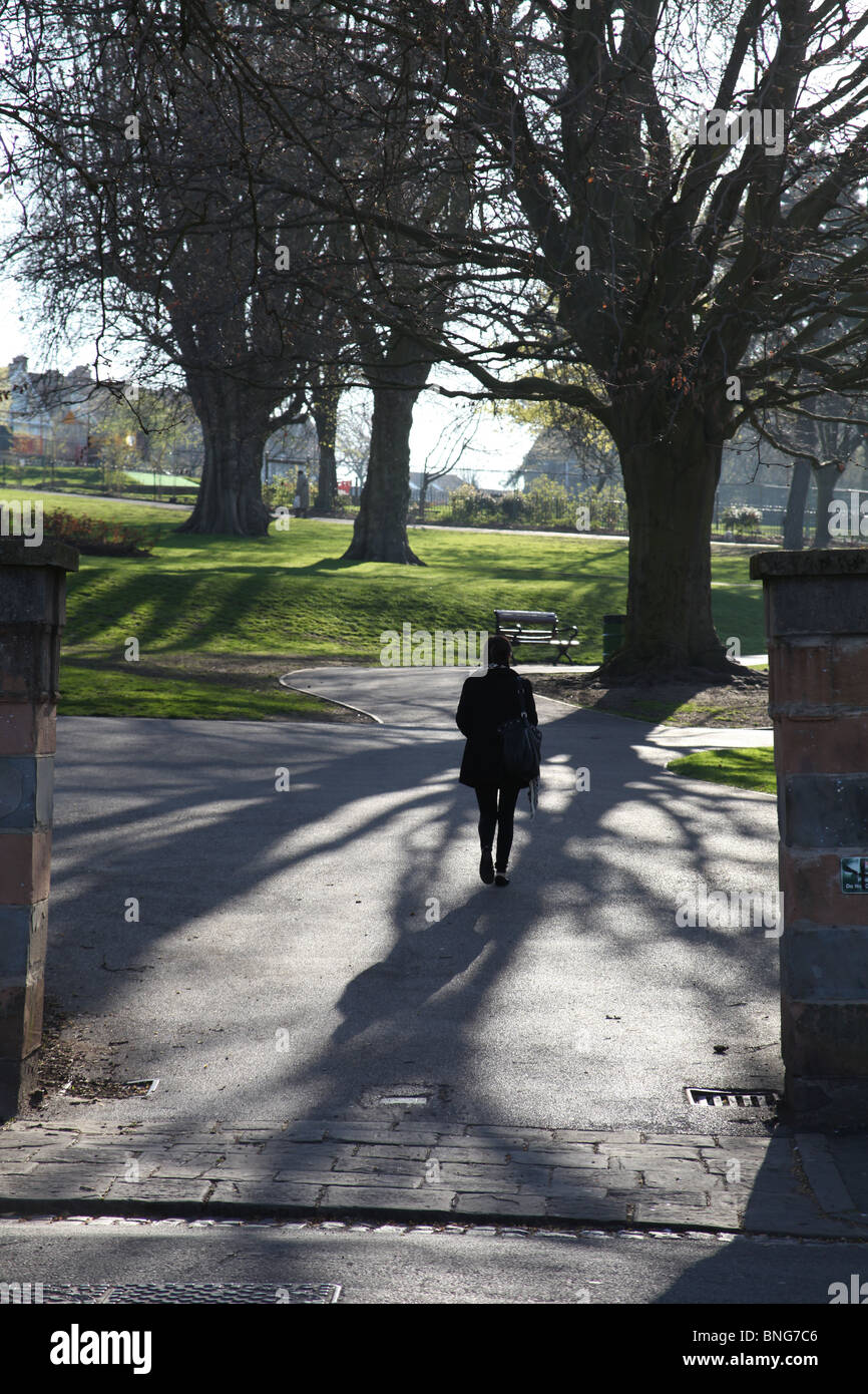 strong sunlight back lighting Stock Photo - Alamy
