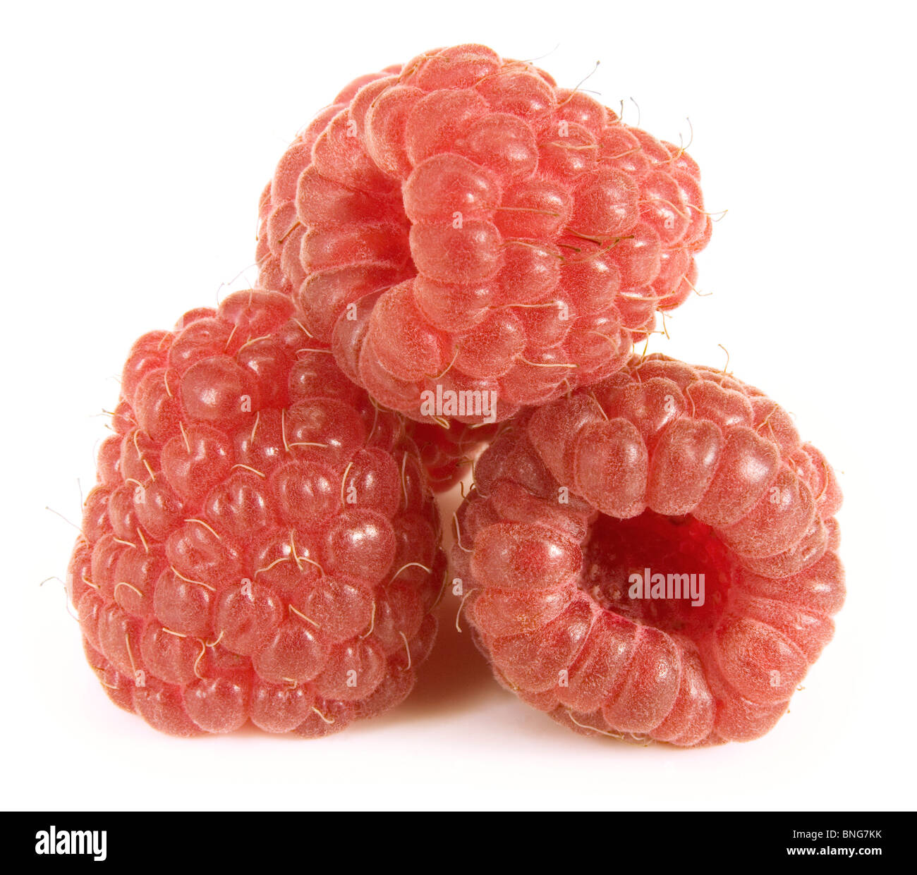 Full focus of Ripe Raspberry isolated on white background Stock Photo ...