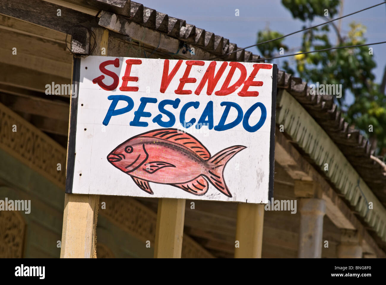 Fish for sale sign hi-res stock photography and images - Alamy