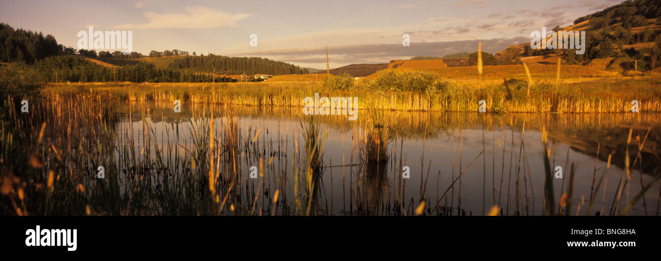 Panoramic of Lake and Hillside Stock Photo - Alamy