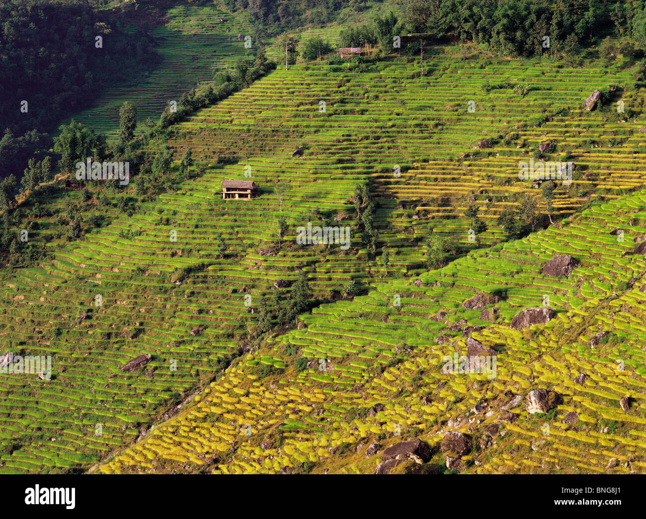 Hillside village and terraced fields hi-res stock photography and ...