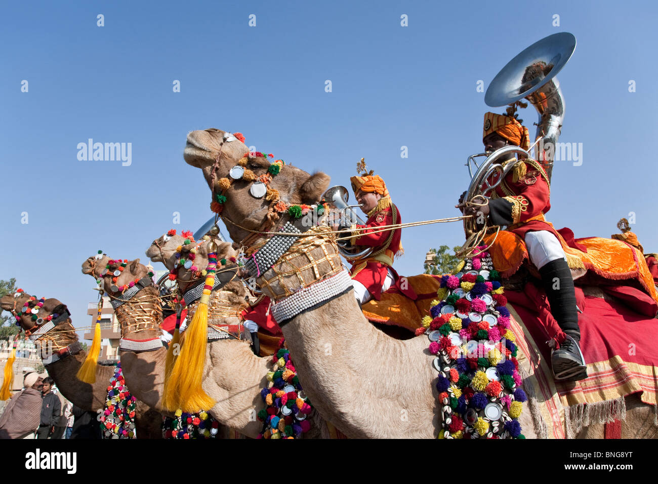Desert Camels Music Bands