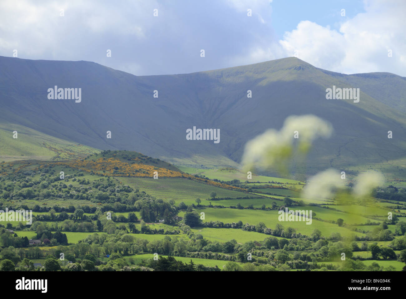 Galtee mountains county tipperary ireland hi-res stock photography and ...