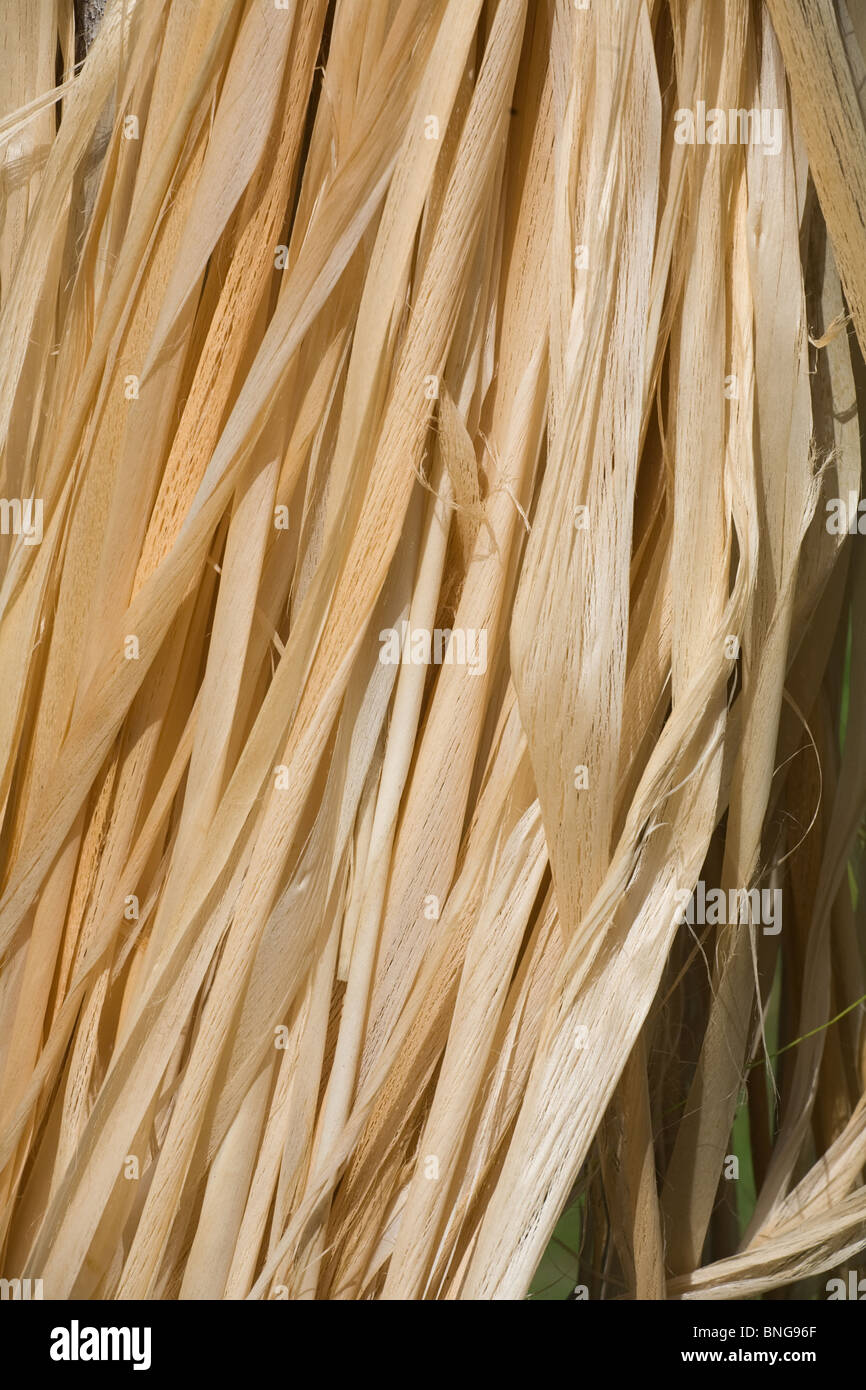 bast strips closeup Stock Photo - Alamy
