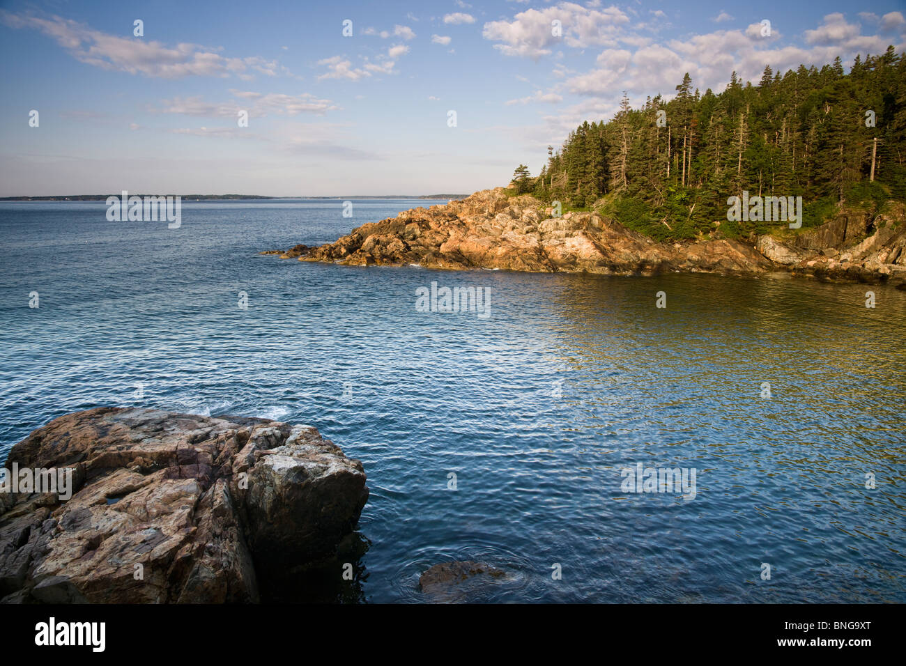 Hunter's Head, Acadia National Park, Maine Stock Photo - Alamy