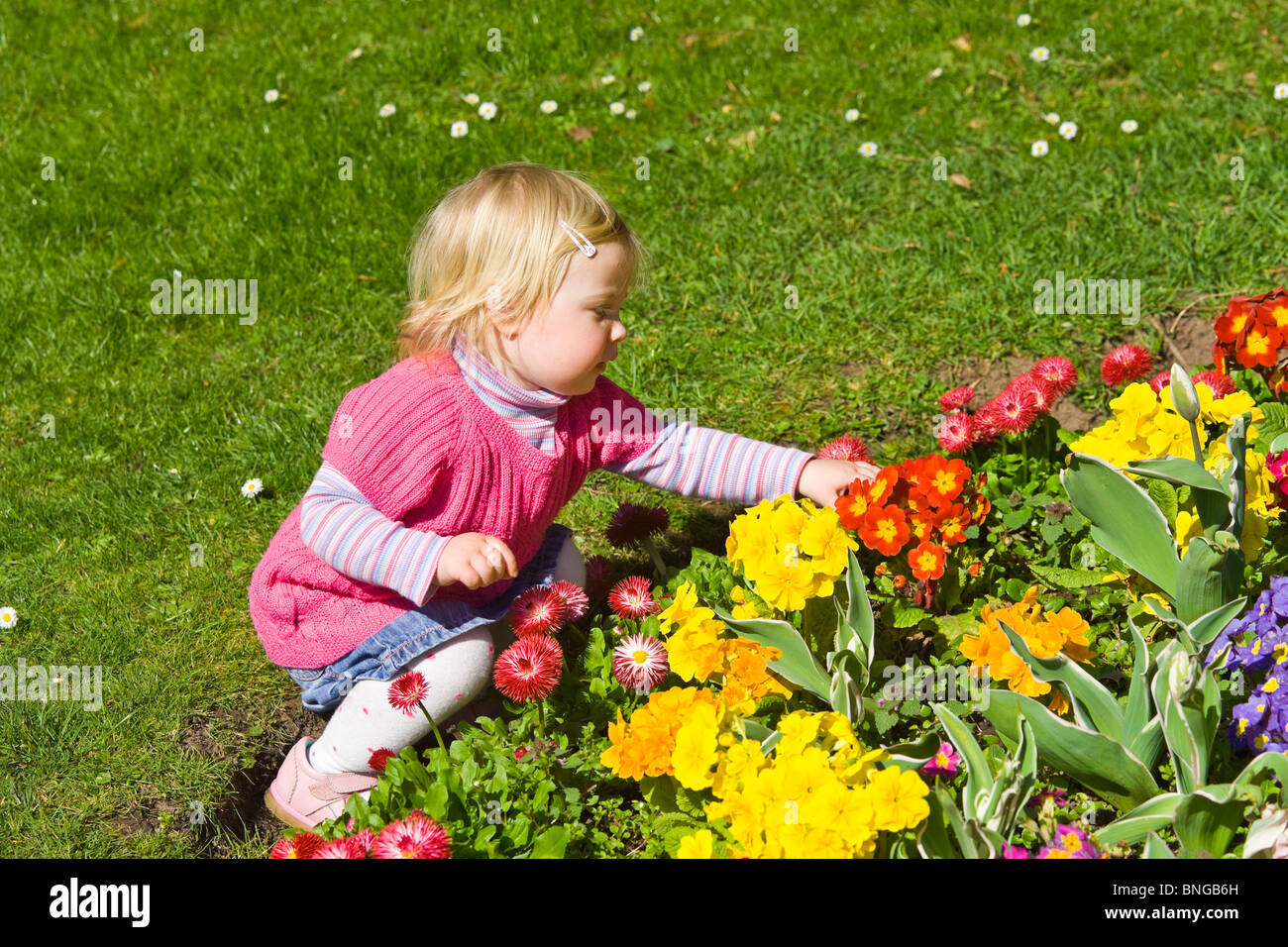 Horizontal portrait of a small girl taking great interest in touching ...
