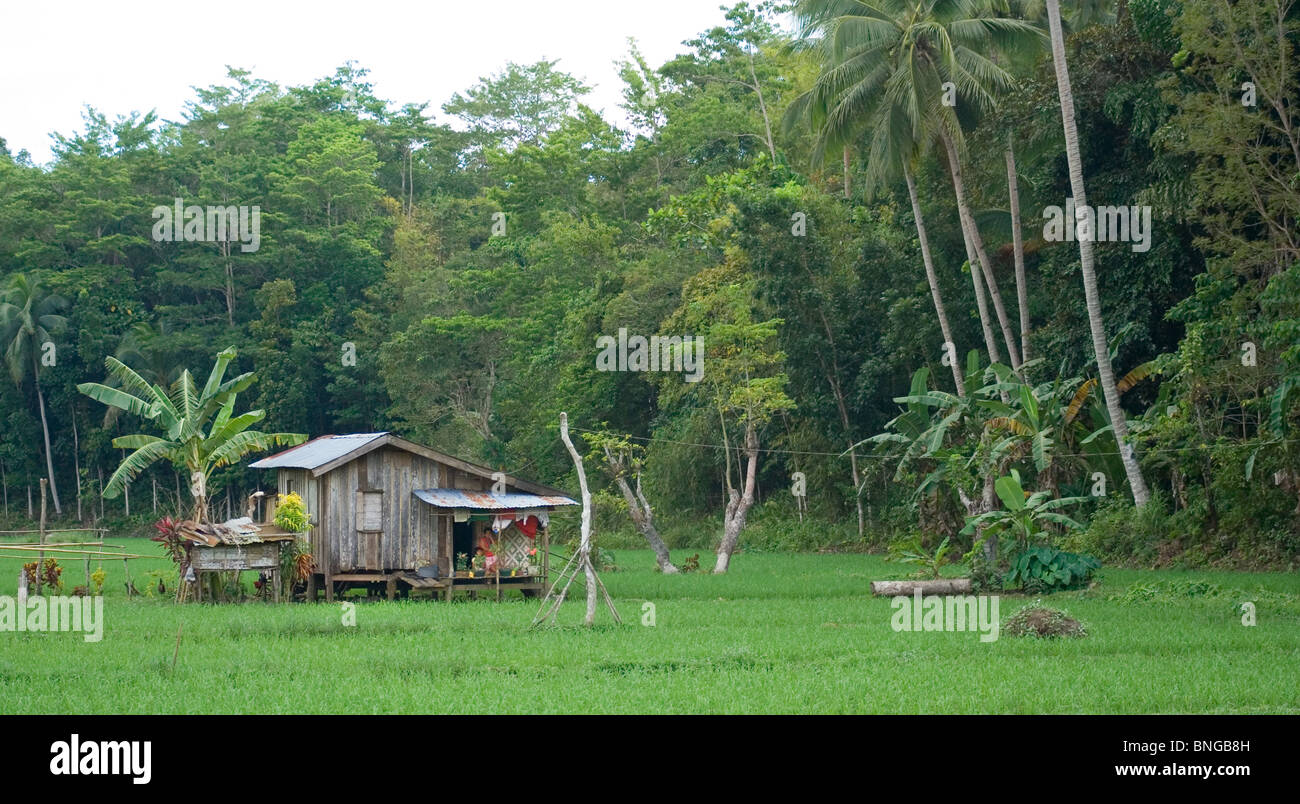 Bahay kubo hi-res stock photography and images - Alamy